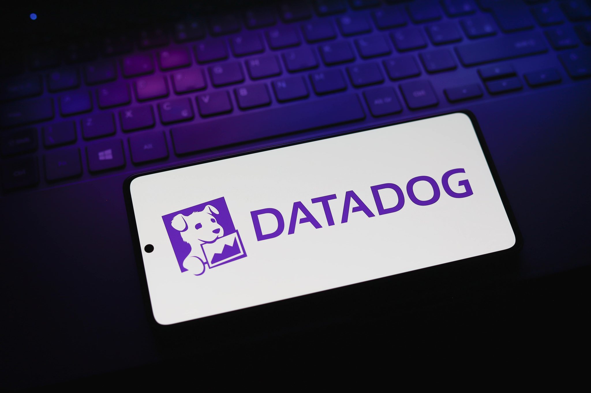 Datadog - Signo Media – digitale Werbeagentur